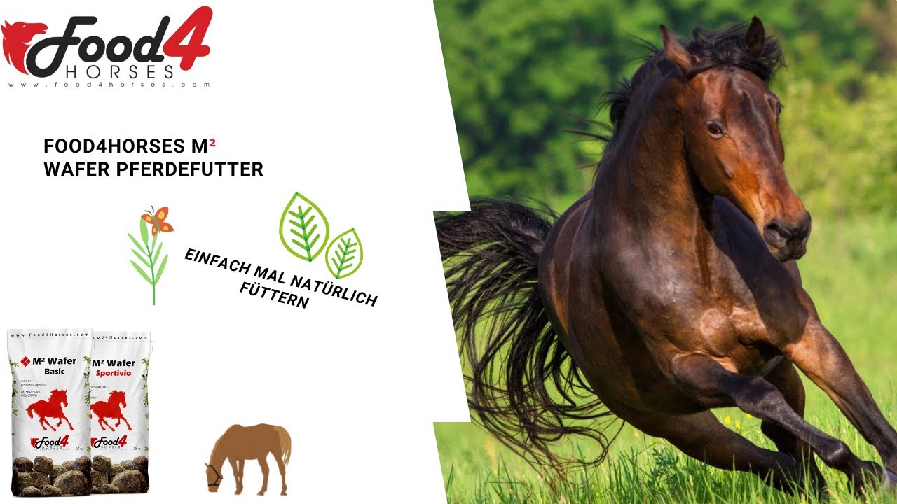 ★Pferdefutter hier Online kaufen★